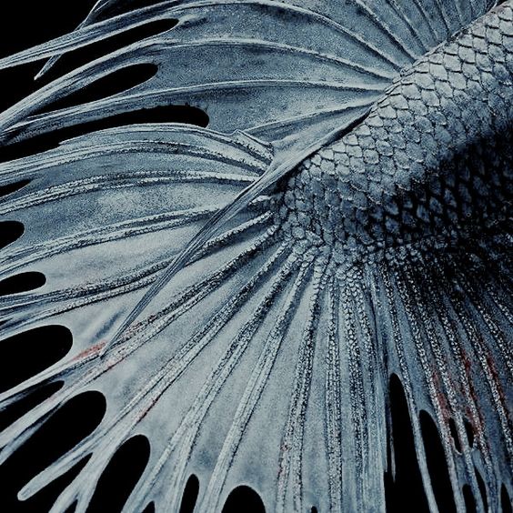 How To: DIY All Black Evil Mermaid Costume For Halloween