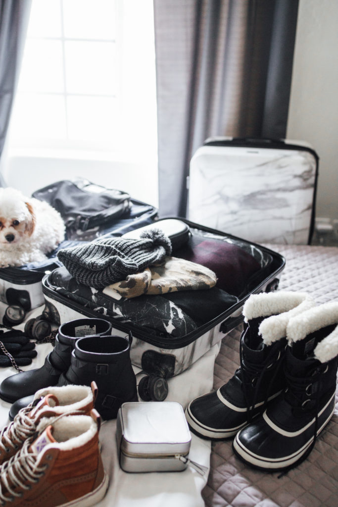 Packing 101: how to pick the best luggage for travel