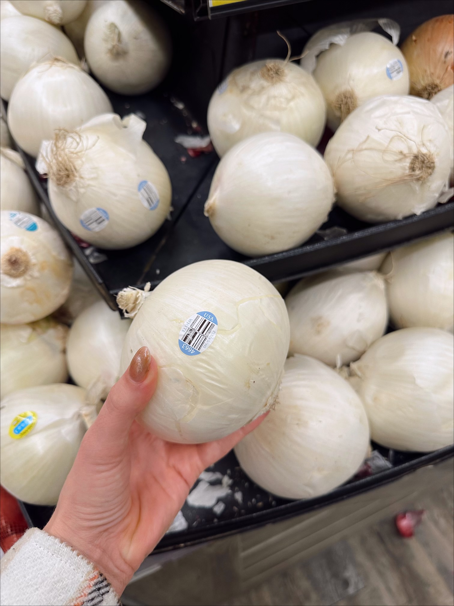 Cooking 101: Types of Onions & How to Use Them