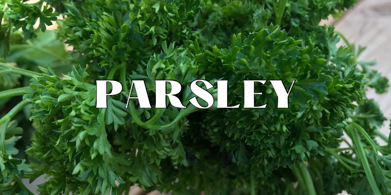 Fresh Herbs for Cooking and How to Use Them