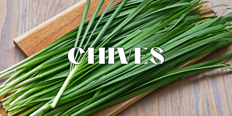 Fresh Herbs for Cooking and How to Use Them
