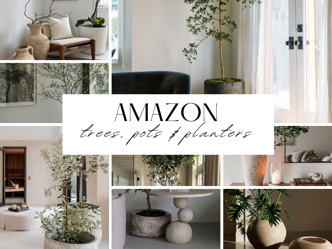 Viral Trees, Pots & Planters from Amazon Home