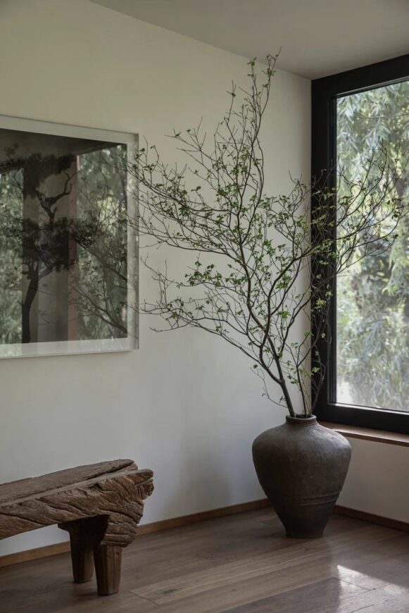 Viral Trees, Pots & Planters from Amazon Home