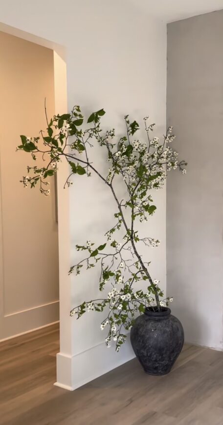 Viral Trees, Pots & Planters from Amazon Home