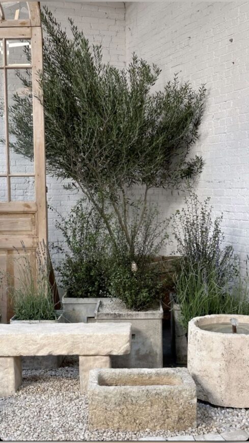 Viral Trees, Pots & Planters from Amazon Home