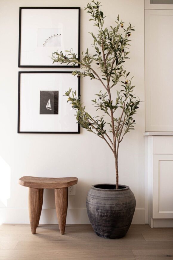 Viral Trees, Pots & Planters from Amazon Home