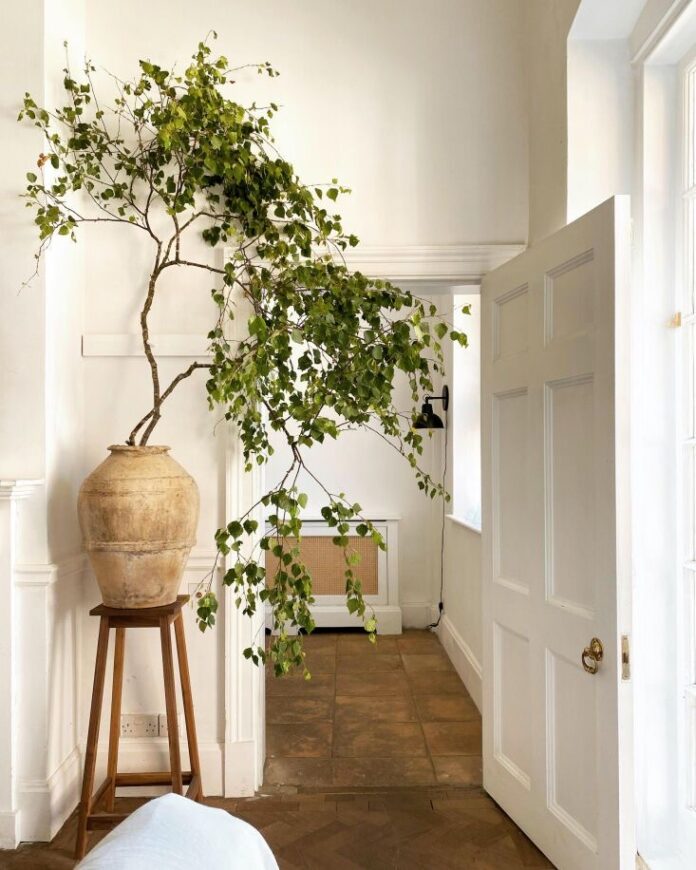 Viral Trees, Pots & Planters from Amazon Home