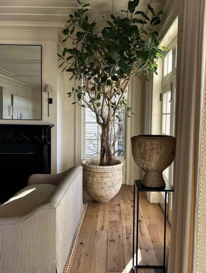 Viral Trees, Pots & Planters from Amazon Home