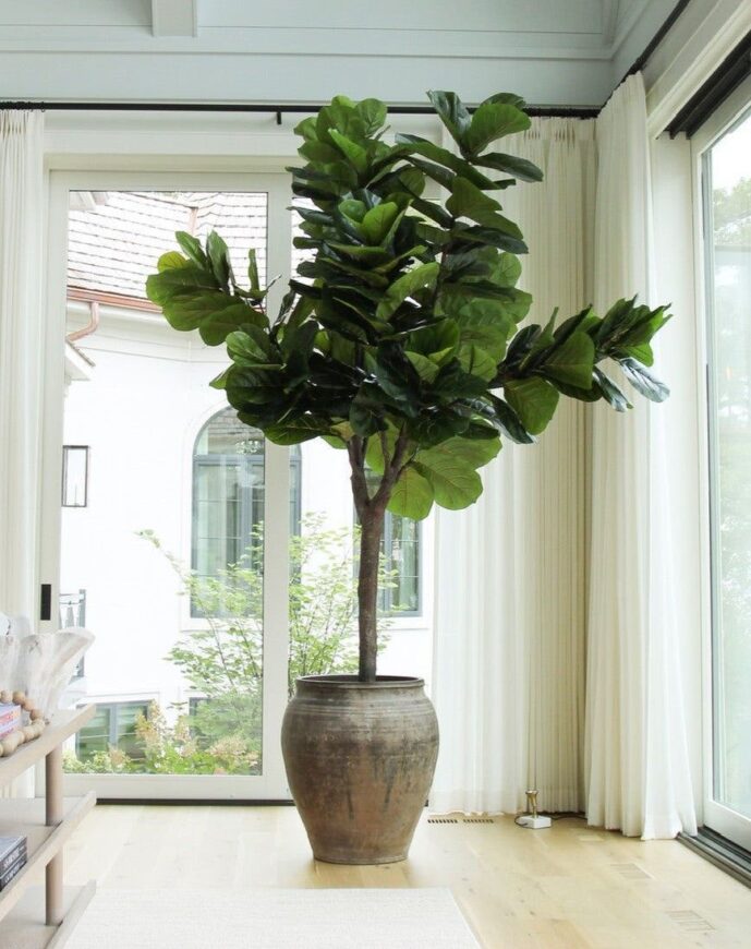 Viral Trees, Pots & Planters from Amazon Home