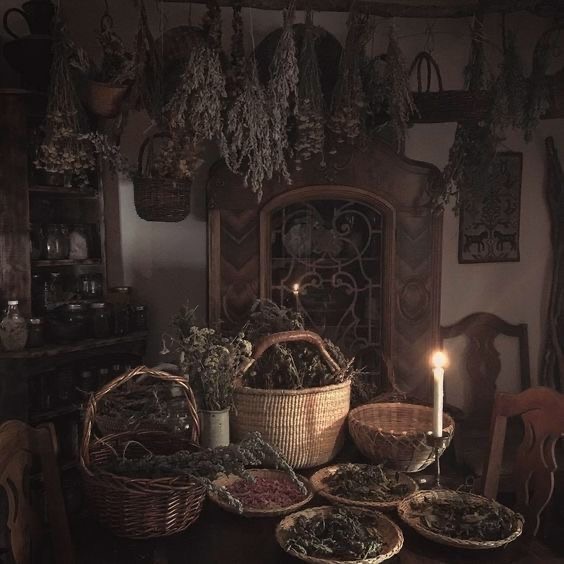 Strega Nona Fall: How to Have the Coziest Vibes